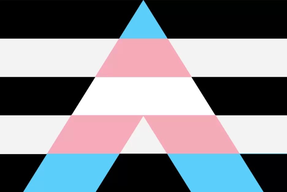 Flags of the LGBTQ+ Community | Student Center for Belonging and ...