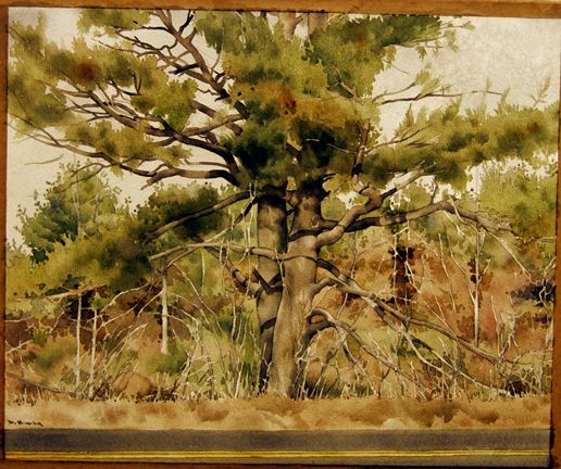 Gallery | Thousand Words Project | Bates College