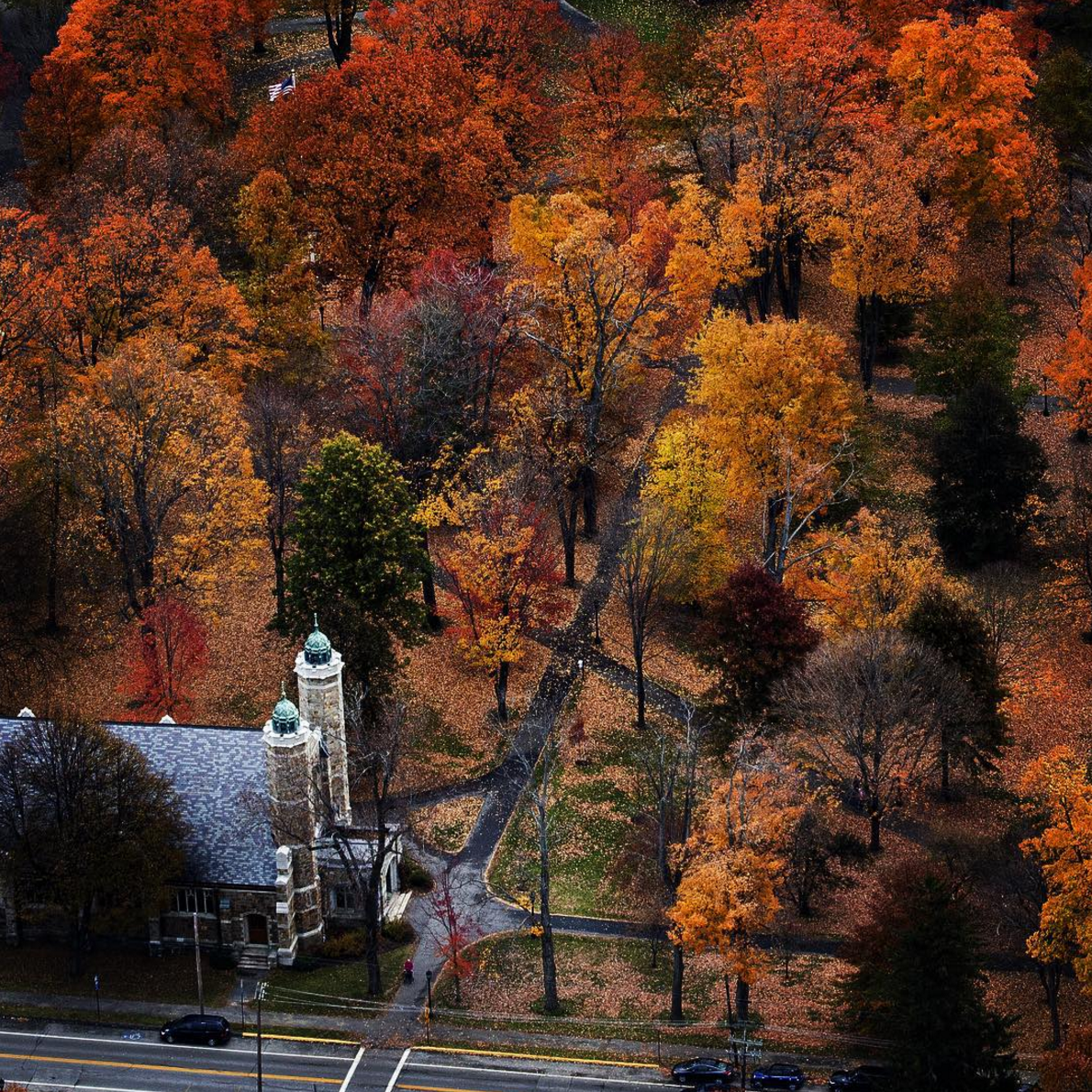 WordPress Community of Practice Blog | WordPress Community of Practice ...