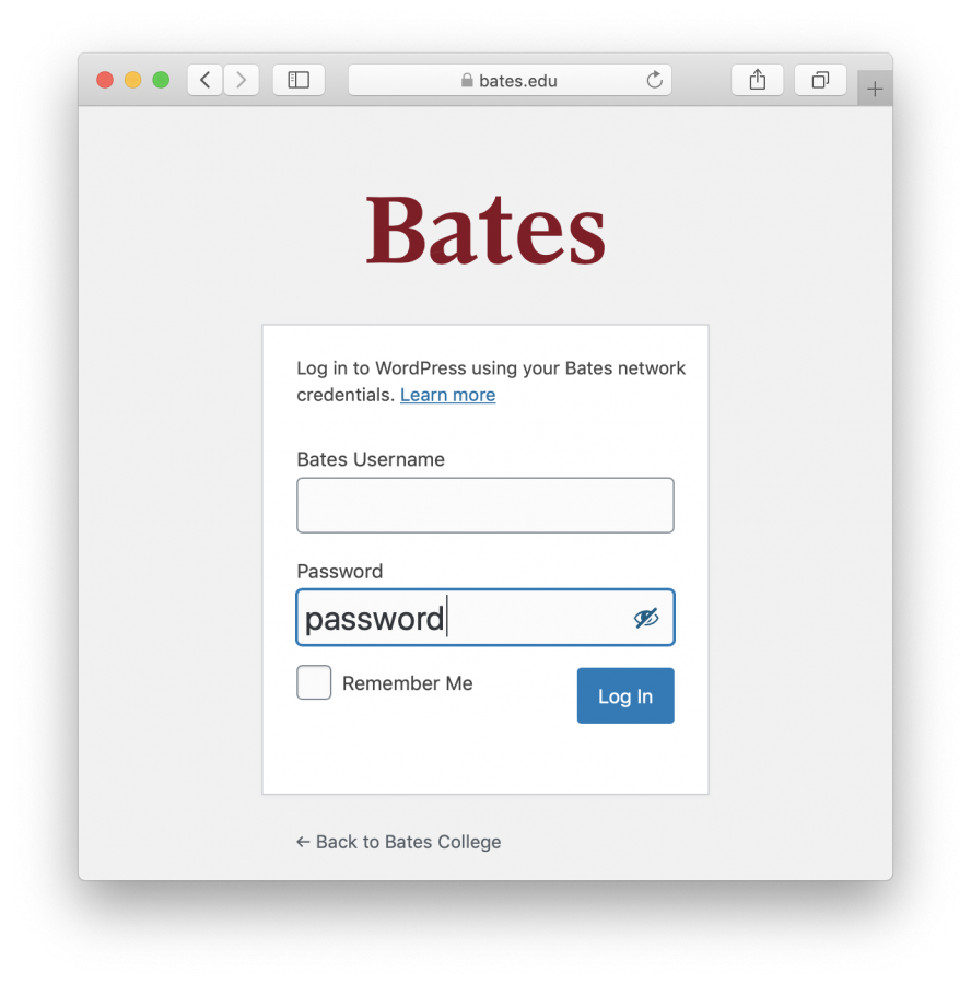 Updates and Opportunities | WordPress Community of Practice | Bates College