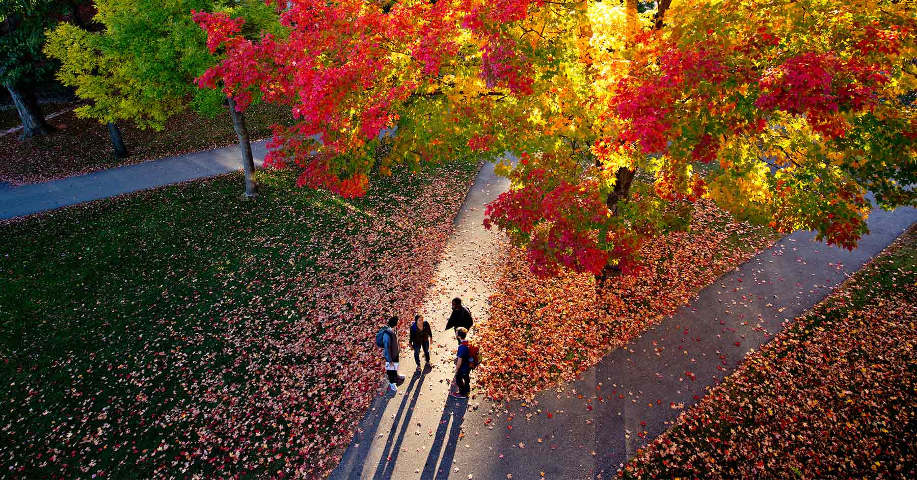 Example Slideshows | WordPress Community of Practice | Bates College